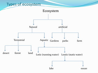 Ecosystem | PPT