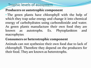 Ecosystem | PPT
