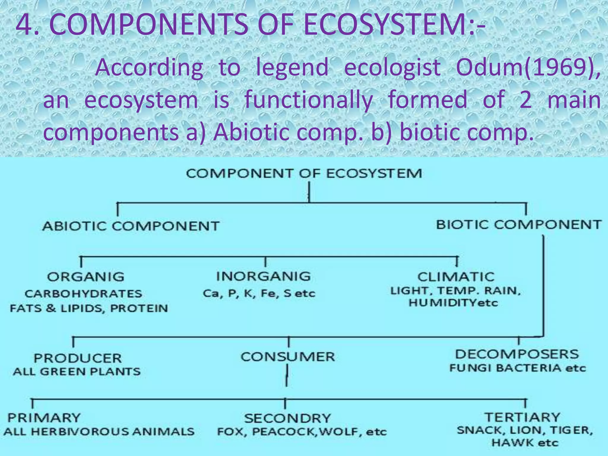 Ecosystem | PPT | Free Download
