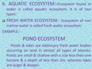 Ecosystem | PPTX