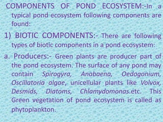 Ecosystem | PPT
