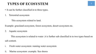 Ecosystem | PPTX