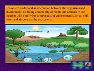 Ecosystem | PPT