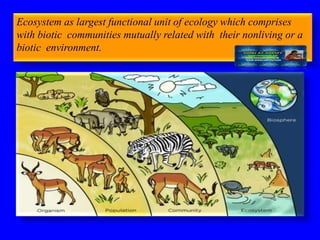Ecosystem | PPT