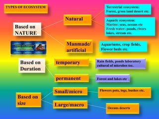 Ecosystem | PPT