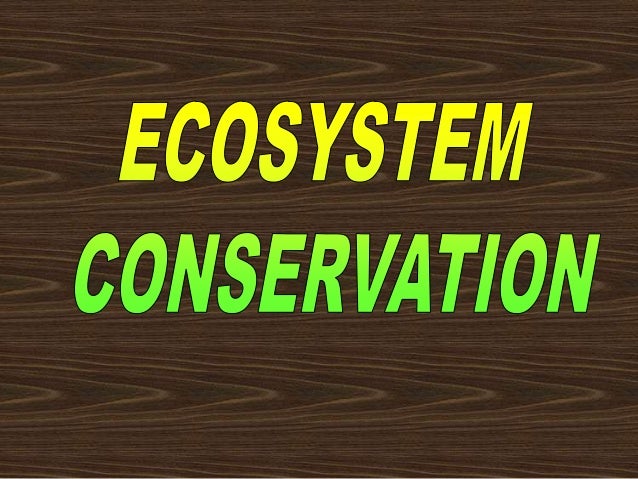 Ecosystem