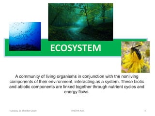 Ecosystem | PPTX