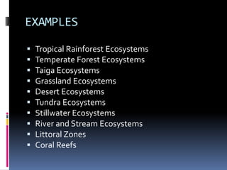 Ecosystem | PPT