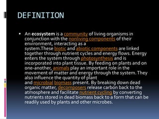 Ecosystem | PPT