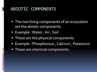 Ecosystem | PPT