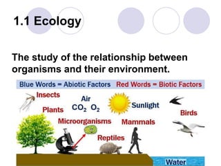 Ecosystem | PPT