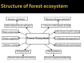 Ecosystem | PPT