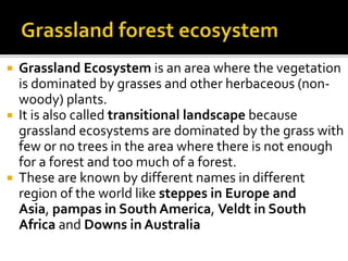 Ecosystem | PPT