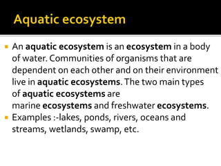 Ecosystem | PPT