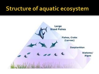 Ecosystem | PPT