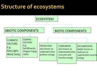 Ecosystem | PPT