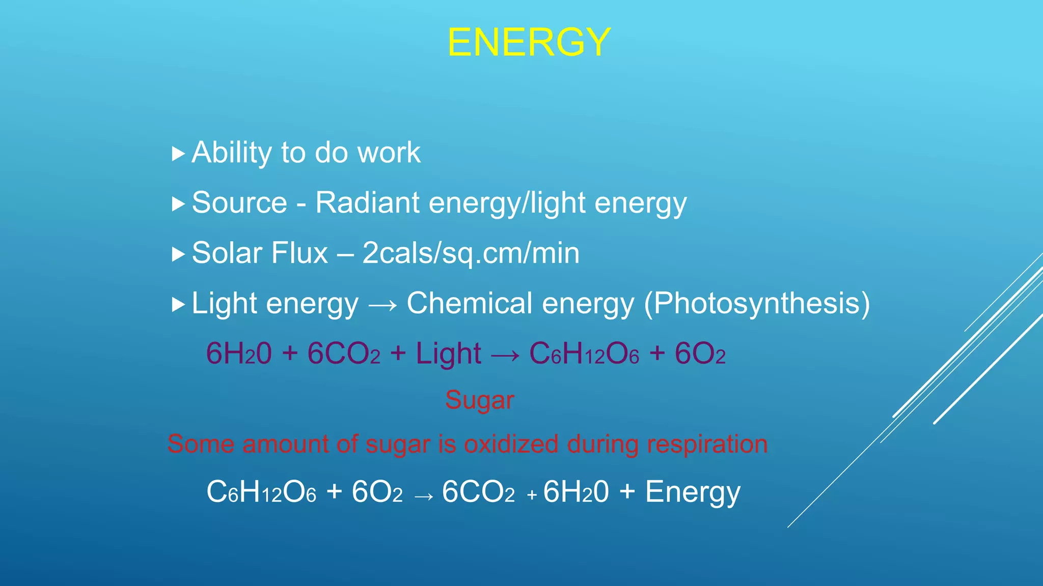 Ecosystem - structure and dynamics | PPT