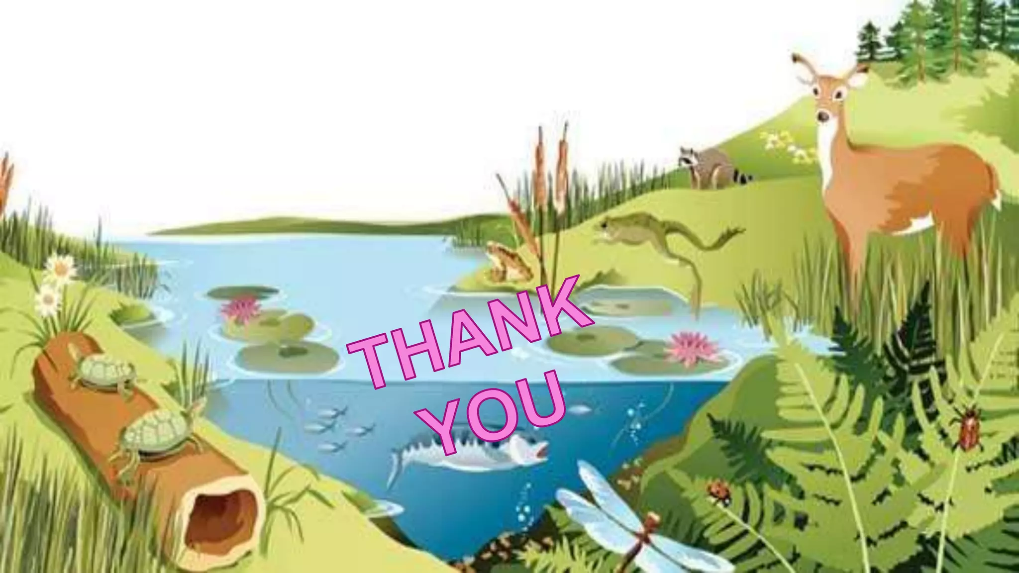 Ecosystem - structure and dynamics | PPT