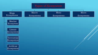 Ecosystem - structure and dynamics | PPT
