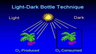 Ecosystem - structure and dynamics | PPT