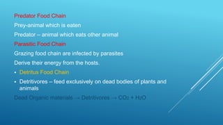 Ecosystem - structure and dynamics | PPT