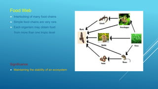 Ecosystem - structure and dynamics | PPT