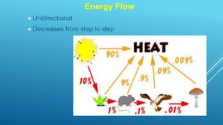 Ecosystem - structure and dynamics | PPT