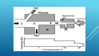Ecosystem - structure and dynamics | PPT