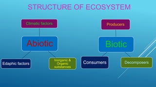 Ecosystem - structure and dynamics | PPT