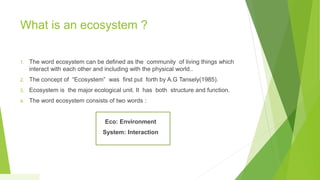 Ecosystem | PPTX