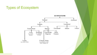 Ecosystem | PPTX