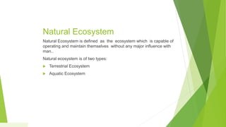 Ecosystem | PPTX