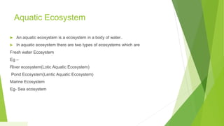Ecosystem | PPTX