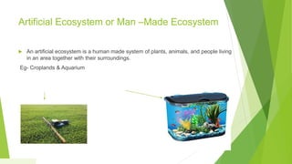 Ecosystem | PPTX