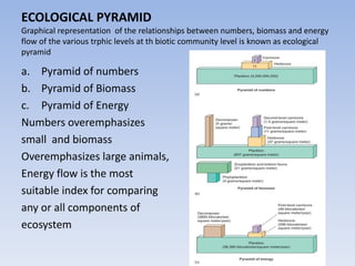 Ecosystem | PPT
