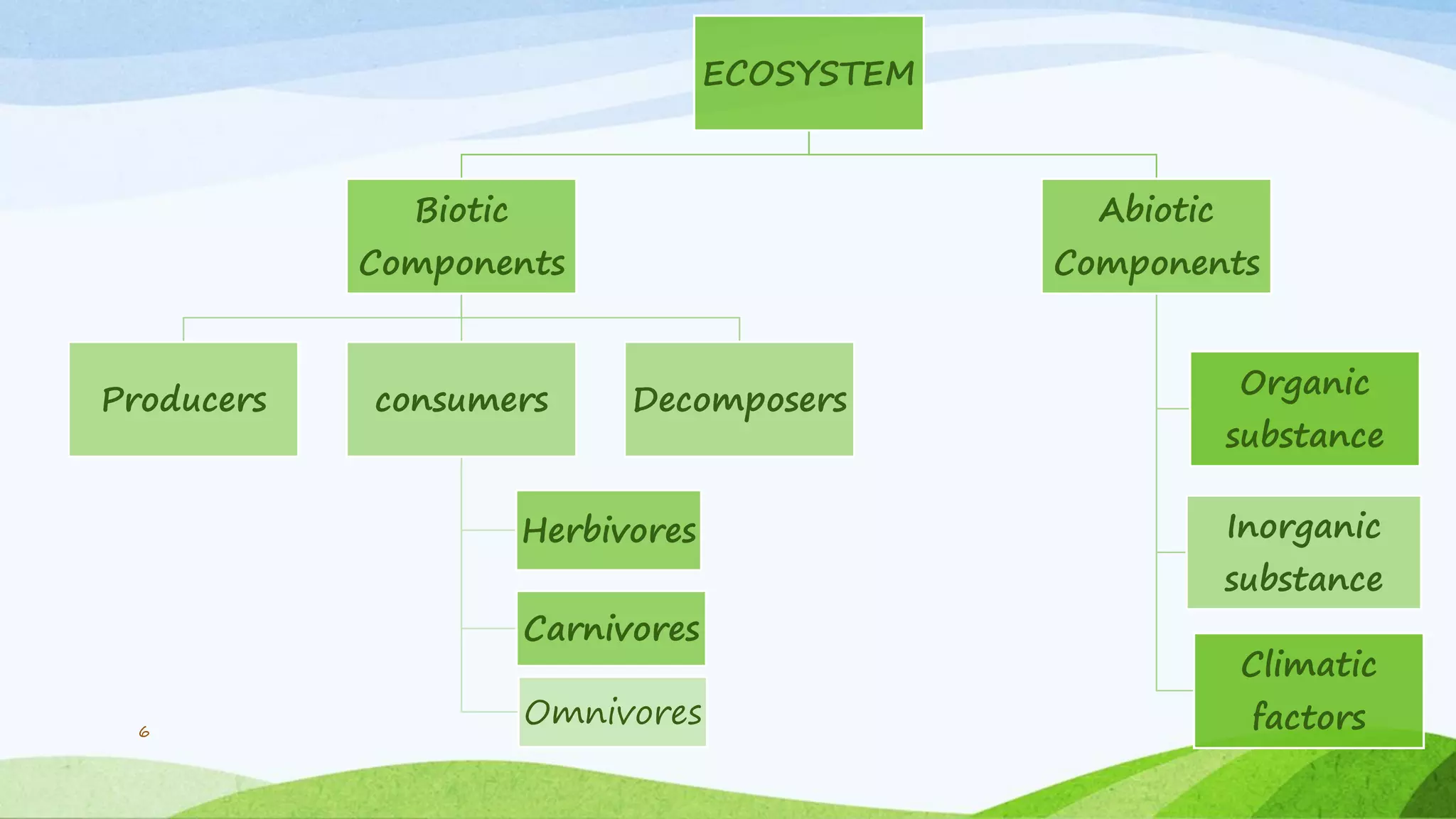 Ecosystemconcepts Structure And Functions Pdf Geography Science