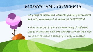 Ecosystem:Concepts, Structure and functions | PDF