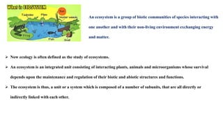 Ecosystem | PPTX | Geography | Science