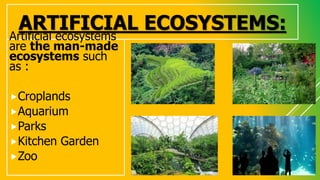 ecosystem-201019225445.pptx.pptx