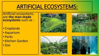 Ecosystem | PPTX | Geography | Science