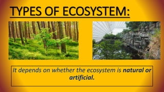 Ecosystem | PPTX