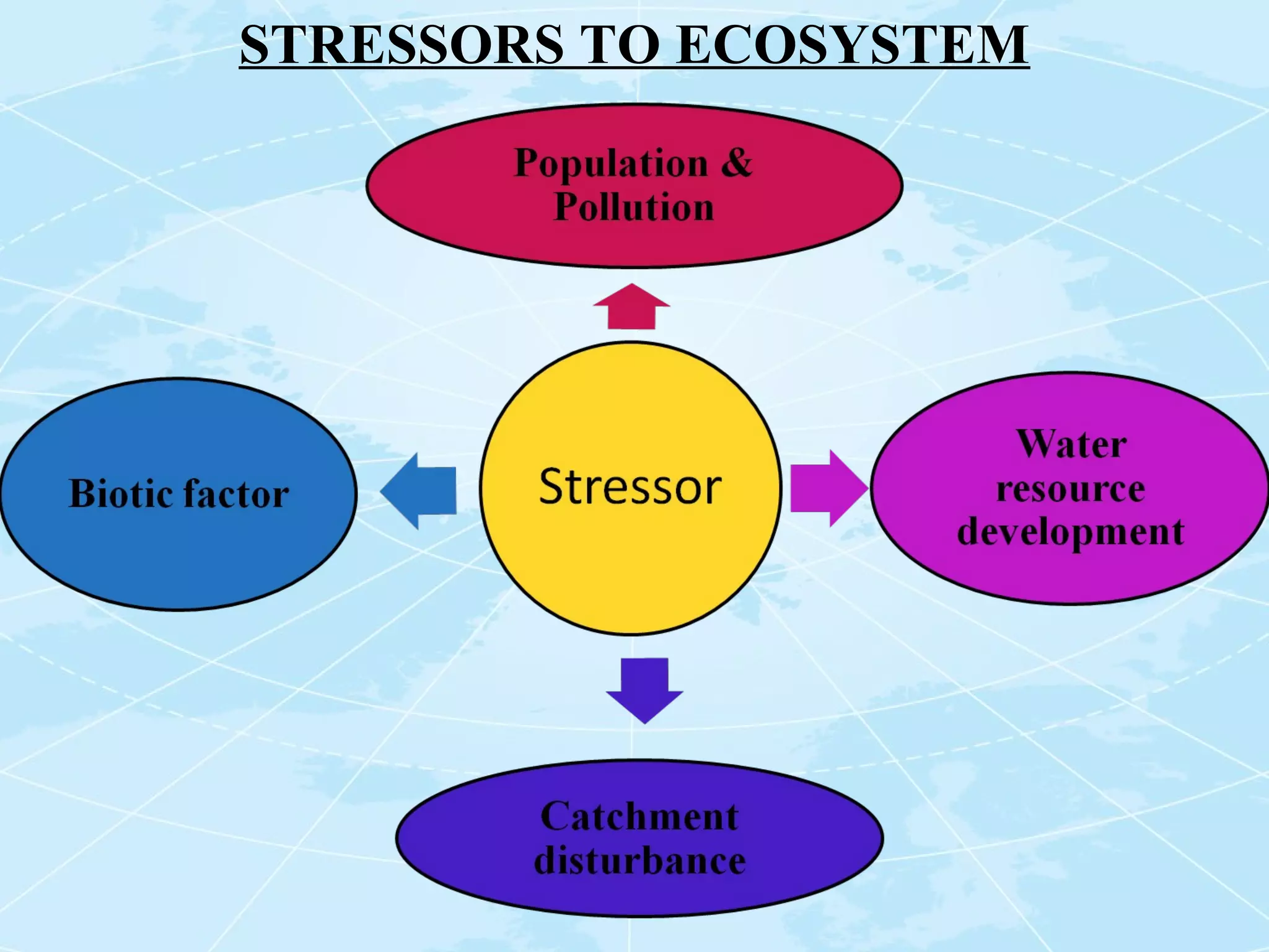 Ecosystem and human transformation | PPT