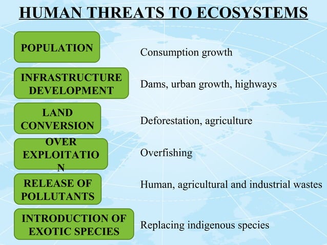 Ecosystem and human transformation | PPT