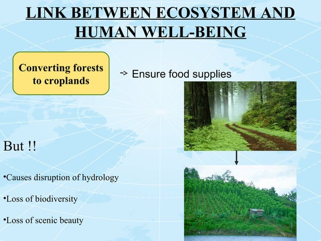Ecosystem and human transformation | PPT