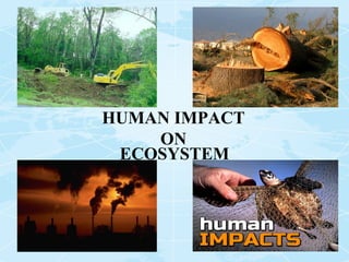 Ecosystem and human transformation | PPT