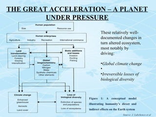 Ecosystem and human transformation | PPT