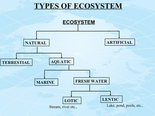 Ecosystem and human transformation | PPT
