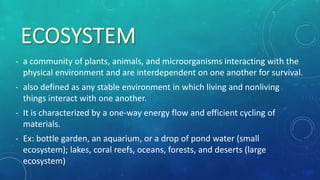 Ecosystem | PPTX