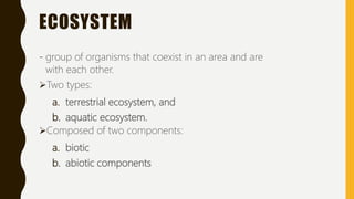Ecosystem | PPT