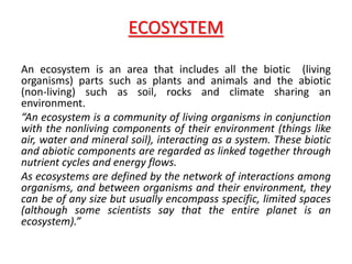 Ecosystem | PPT | Free Download